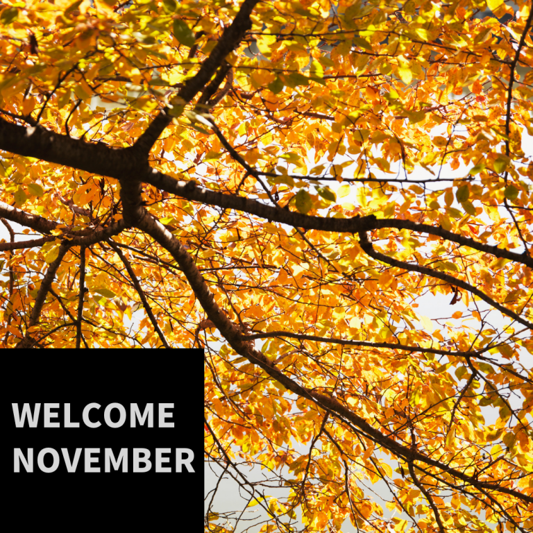 November=Healthy Skin Month! - Vovi Blog
